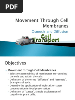 Osmosis Notes | PDF