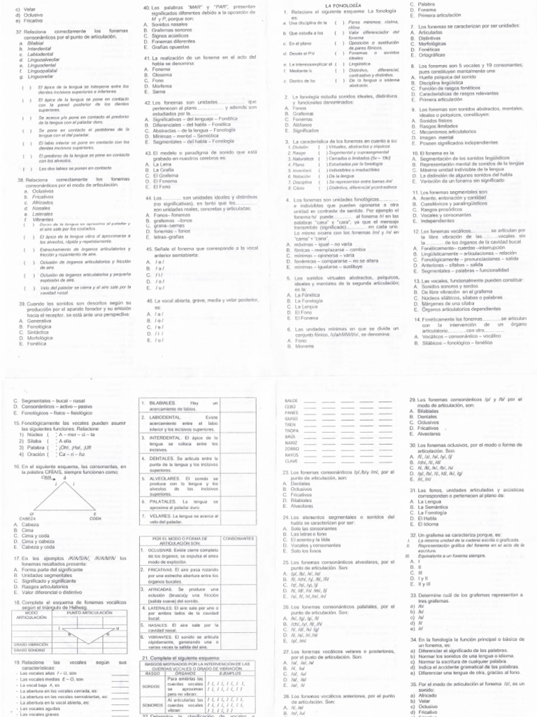 Banco de Preguntas Competencia Linguistica Primera Parte | PDF
