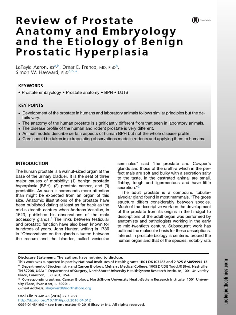 Review of Prostate Anatomy and Embryology and The Etiology of Benign ...