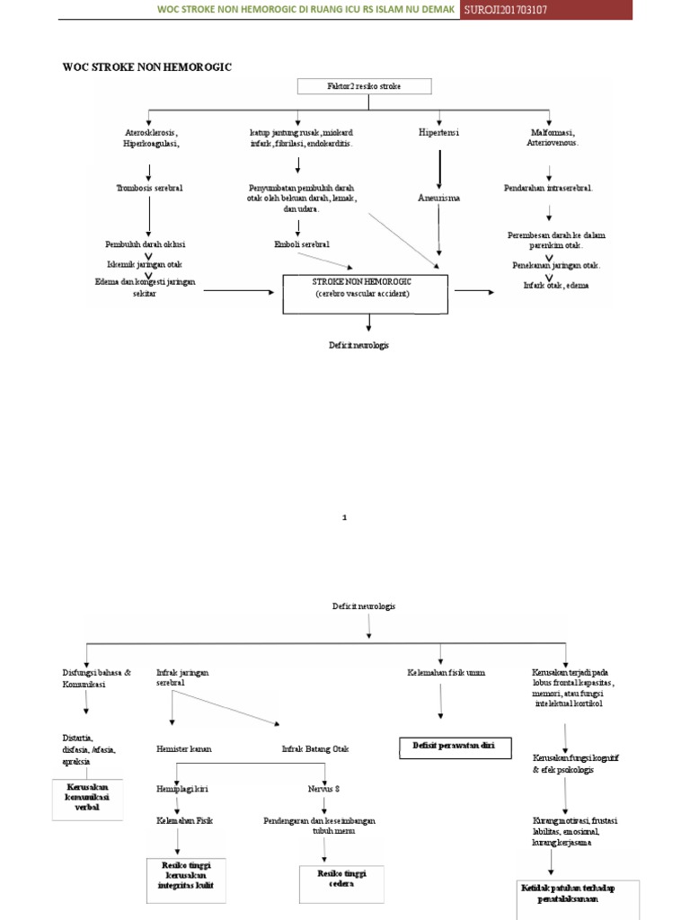 Woc Stroke SNH | PDF
