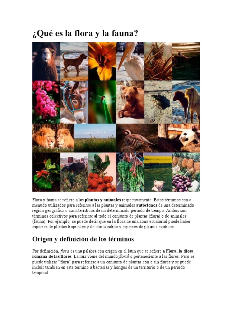 Definición de Flora y Fauna | PDF | Flora | Plantas