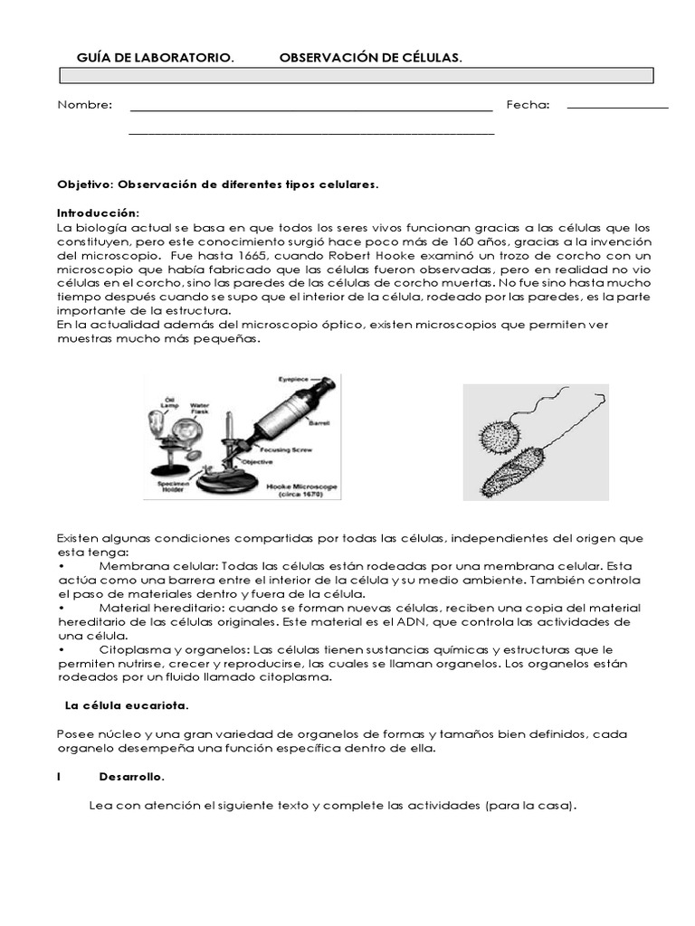 Guía de Laboratorio Células 5° | PDF | Microscopio | Biología Celular)