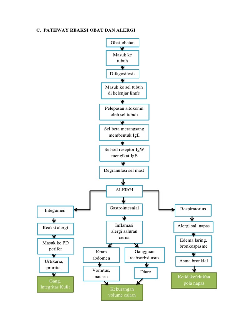 Pathway Reaksi Obat DN Alergi | PDF