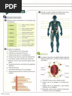 Sopa de Letras de Generalidades Del Sistema Inmune 1 | PDF ...