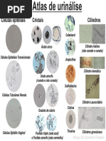 Atlas para Urinalise | PDF | Cristal | Especialidades médicas