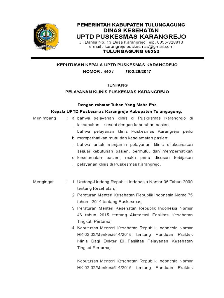 Fix SK Pembentukan Tim Ppi | PDF