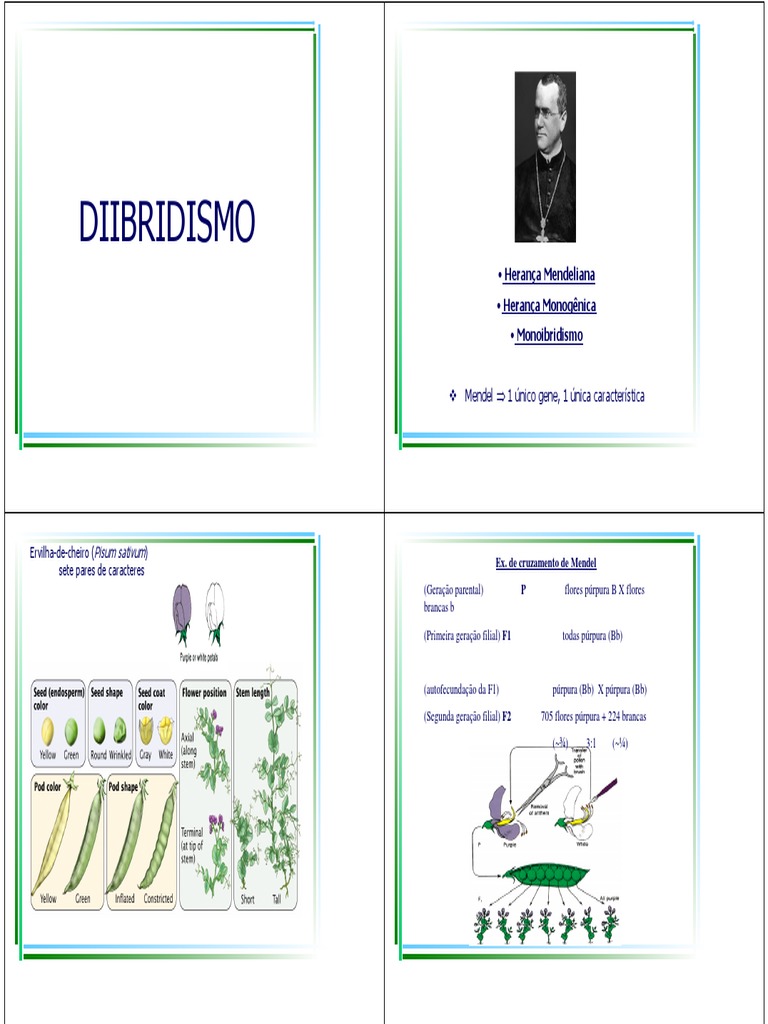 AULA 7 - Dihibridismo. Virtual PDF | PDF | Evolução biológica ...
