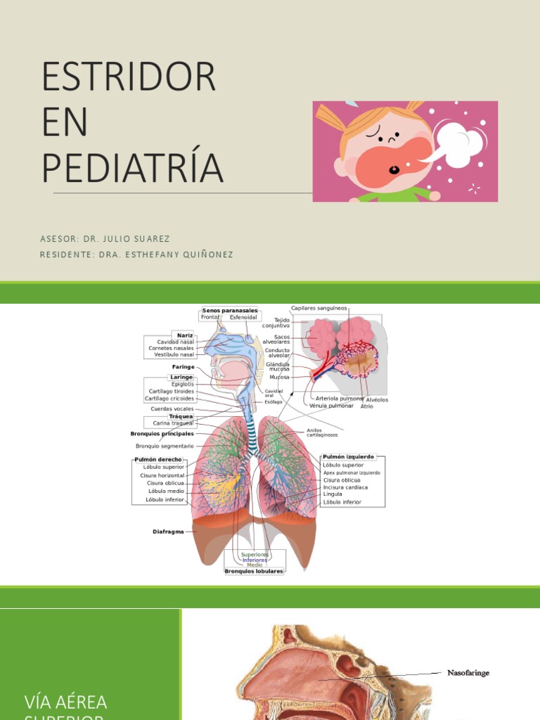 Estridor en Pediatría | PDF | Sistema respiratorio | Especialidades Medicas