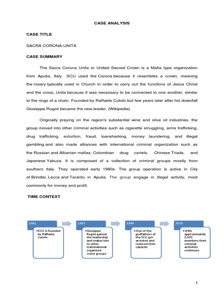 Case Analysis | PDF | Crime & Violence | Crime Thriller