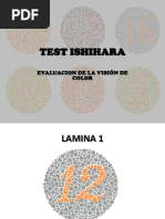 Test Ishihara Completo | PDF | Cocina, comidas y vino | Arte