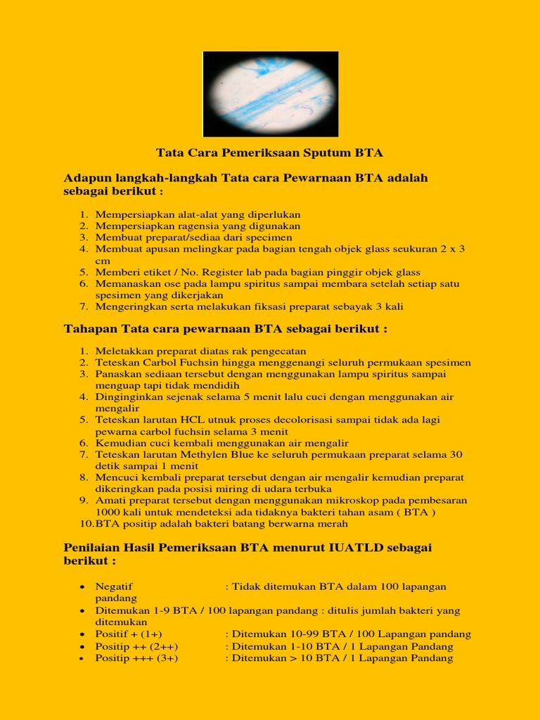 Tata Cara Pemeriksaan Sputum BTAa | PDF