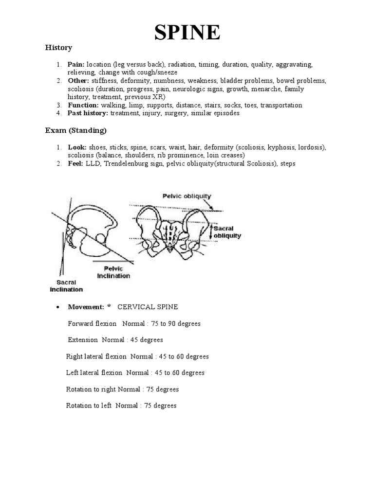 Spine: History | PDF | Application Software Suites | Pelvis