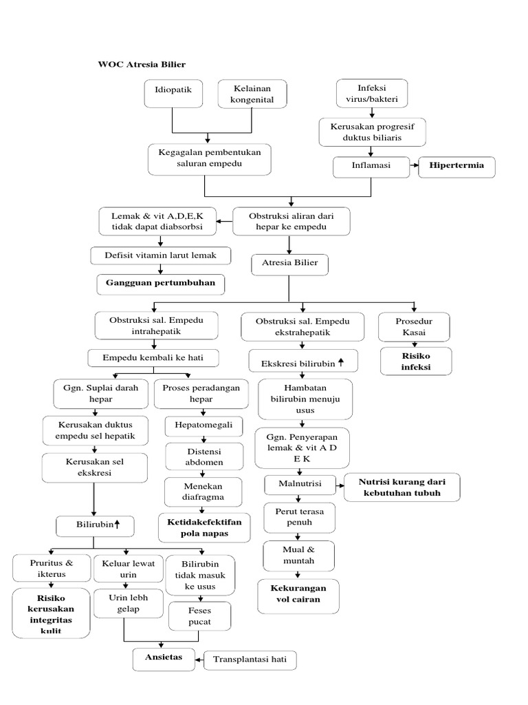 WOC Atresia Bilier | PDF