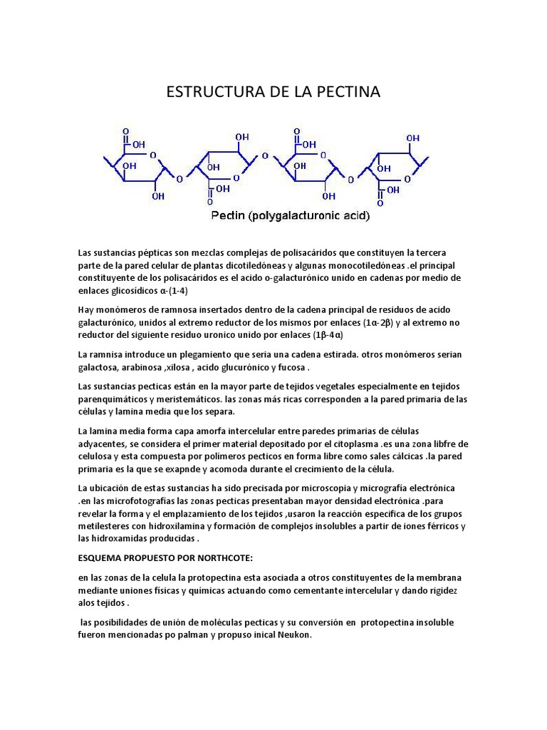 Estructura de La Pectina | PDF | Biología Celular) | Enlace químico