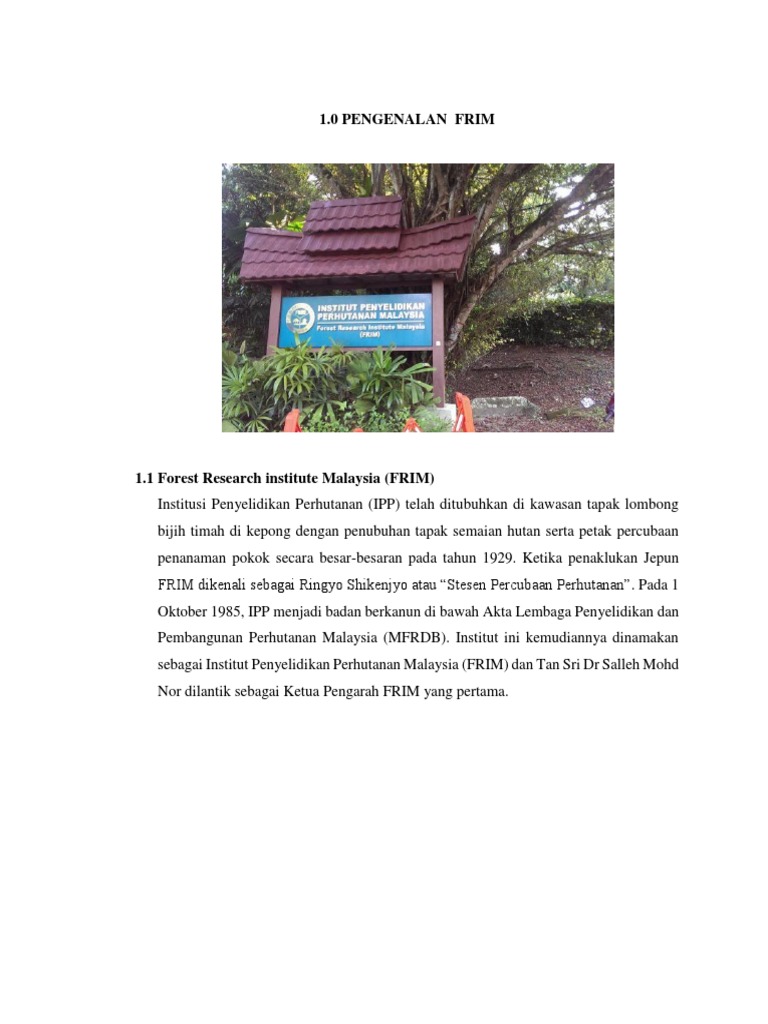 Contoh Final Report | PDF