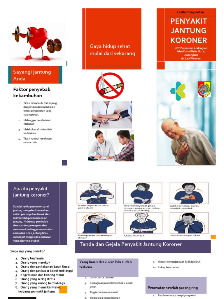 Leaflet Pjk Pdf