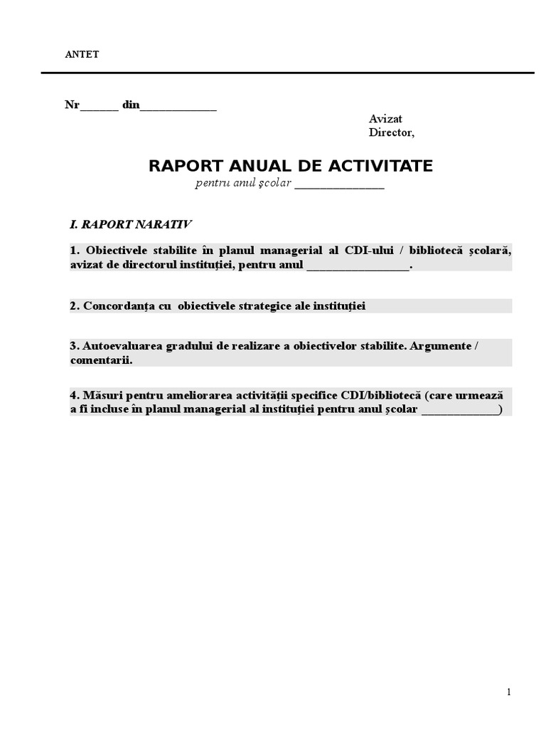 Model Raport de Activitate CDI | PDF