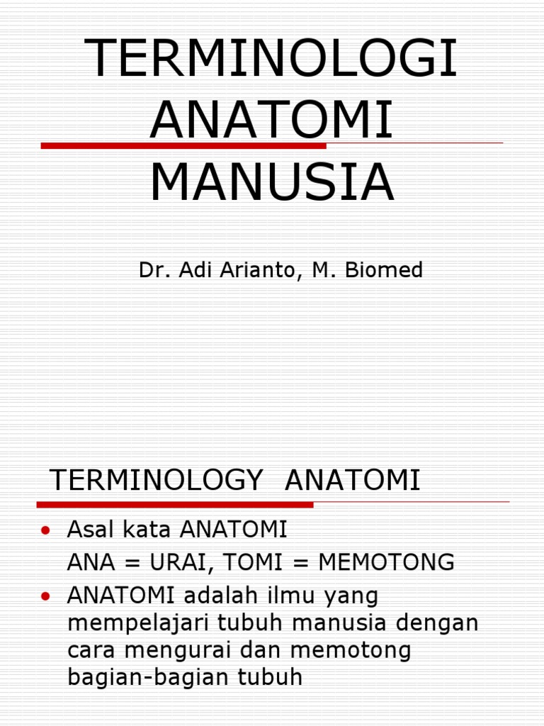 Terminologi Anatomi Manusia | PDF | Lymphatic System | Heart