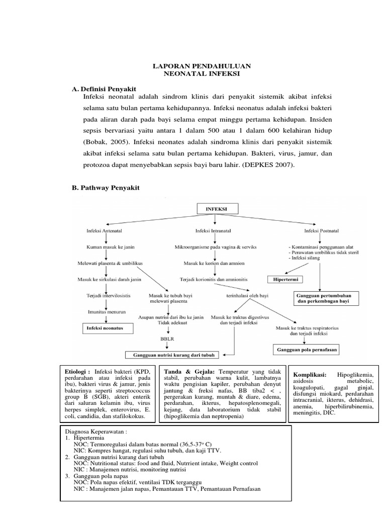 LP Neonatal Infeksi Mapping | PDF