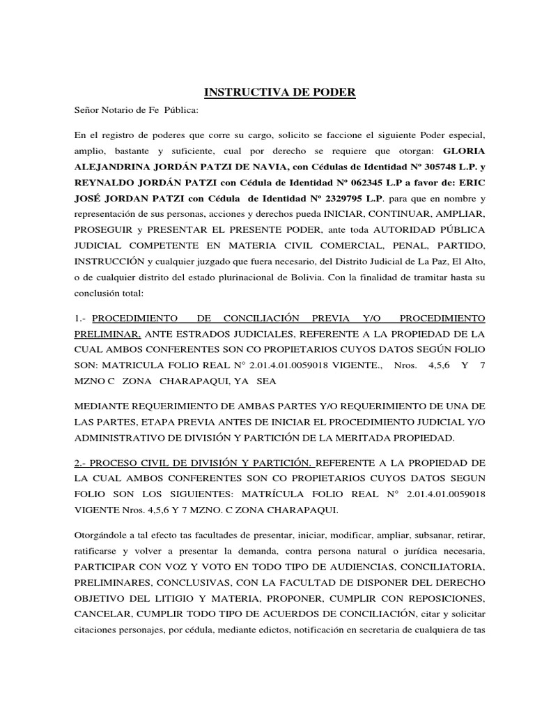 Instructiva de Poder | PDF | Judicaturas | Gobierno