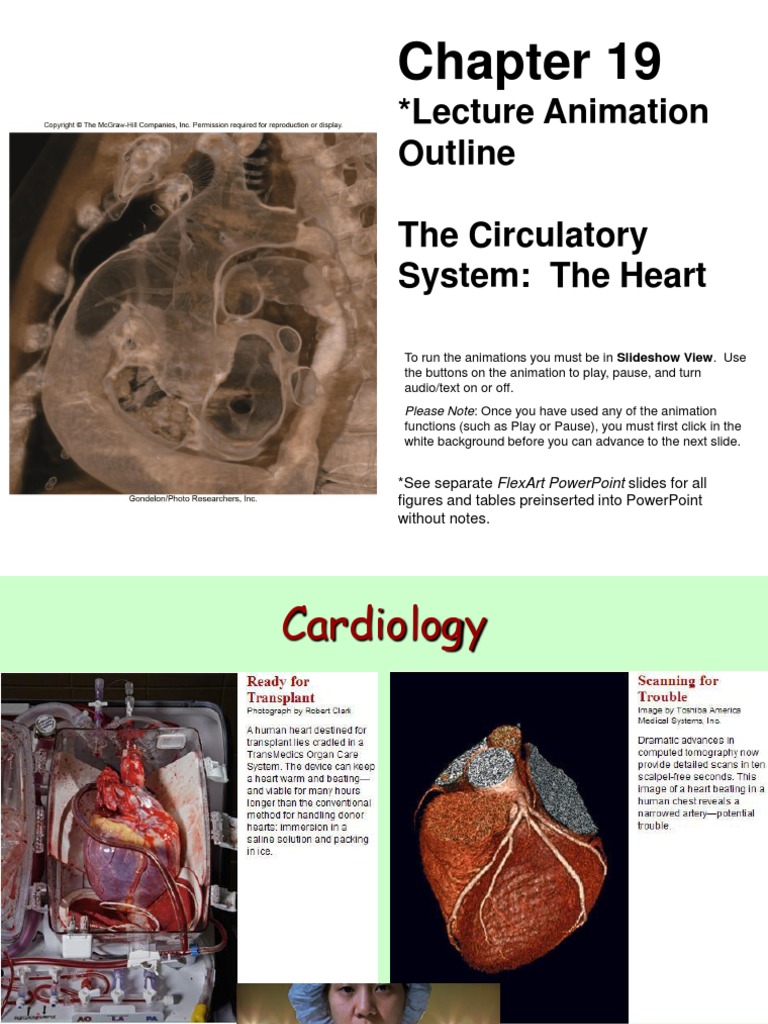 Lecture Animation Outline The Circulatory System: The Heart | PDF ...