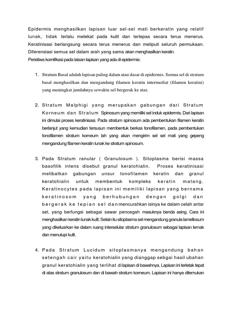 Proses Kornifikasi (Integumen) HISTOLOGI | PDF