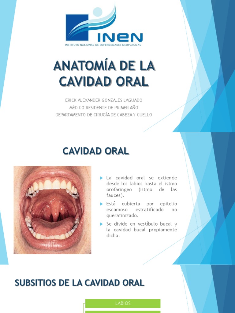 Anatomía de la Cavidad Oral | PDF | Lengua | Cara