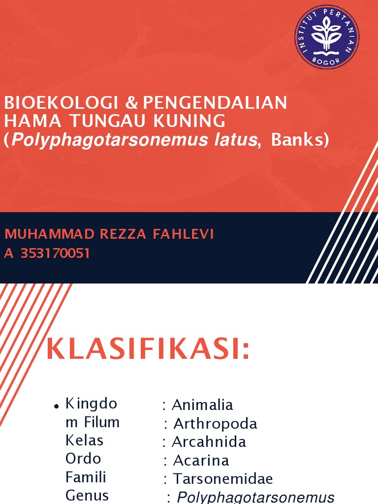 Hama Tungau Kuning | PDF