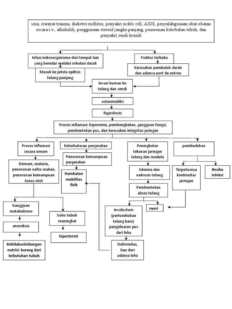 Woc Osteomielitis | PDF