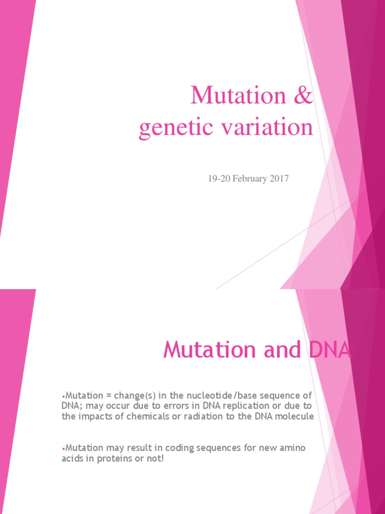 Mutation and Dna - 1 | PDF | Point Mutation | Gene Duplication