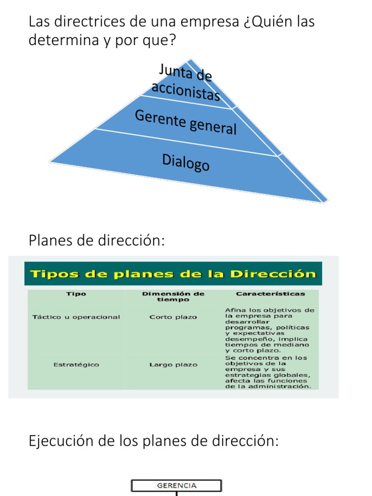 Las directrices de una empresa ¿Quién las determina y por que?
