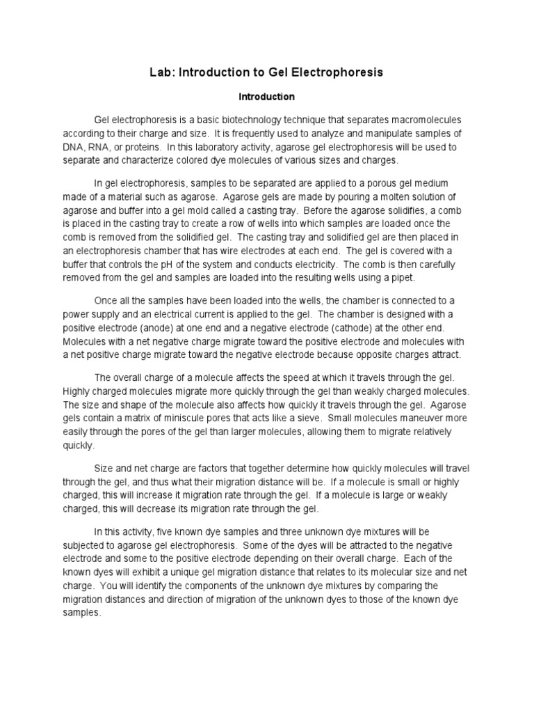 Lab Introduction To Gel Electrophoresis | PDF | Gel Electrophoresis ...
