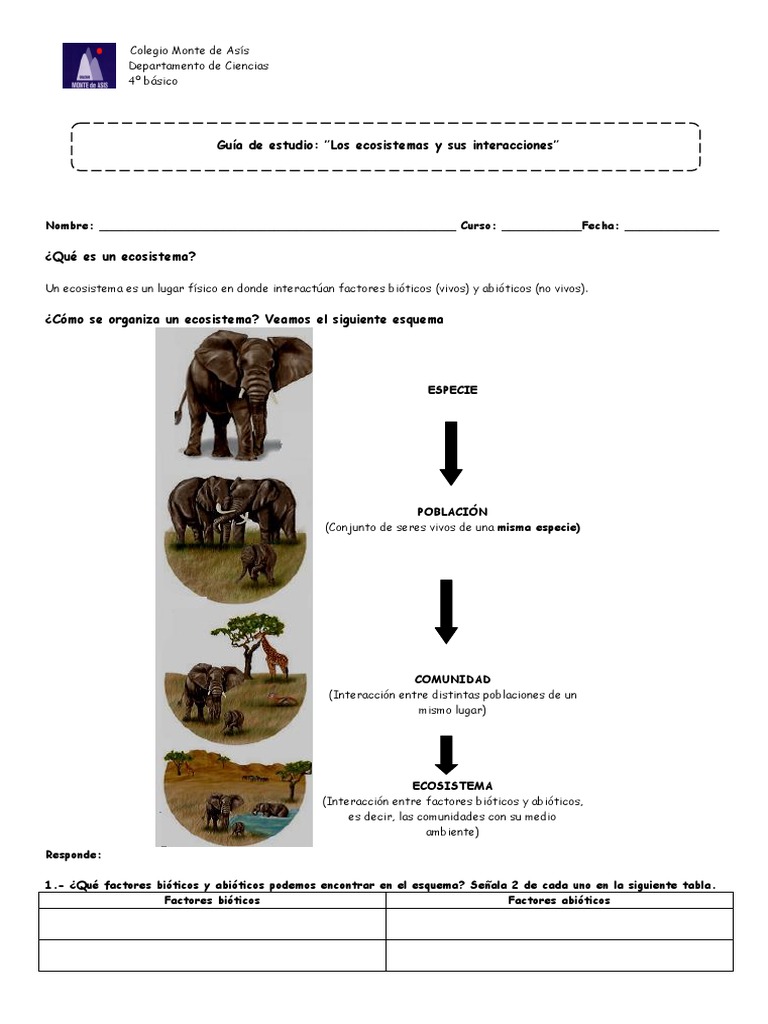Interacciones Y Ecosistemas