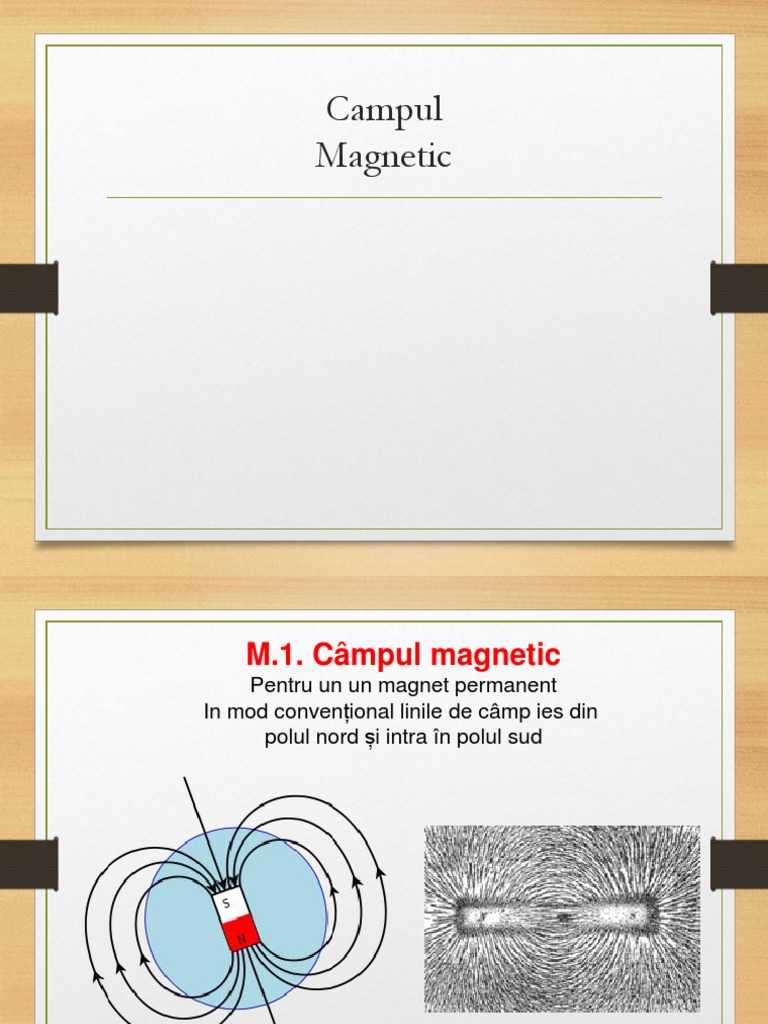 Campul Magnetic | PDF