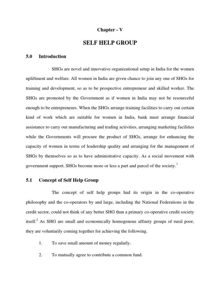 SHG Group Project Report PDF | PDF | Microfinance | Microcredit