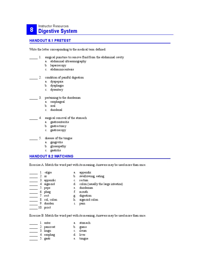 Chapter 8 Worksheet | PDF | Gastrointestinal Tract | Digestive Diseases