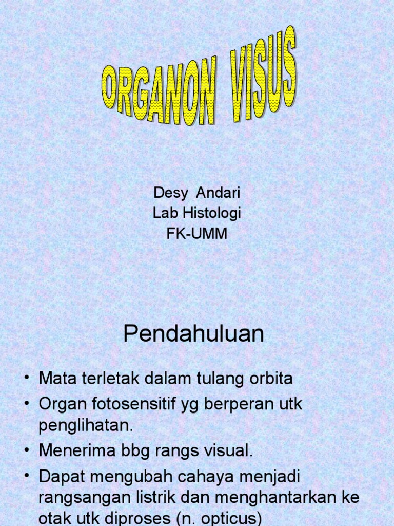 Organon Visus | PDF