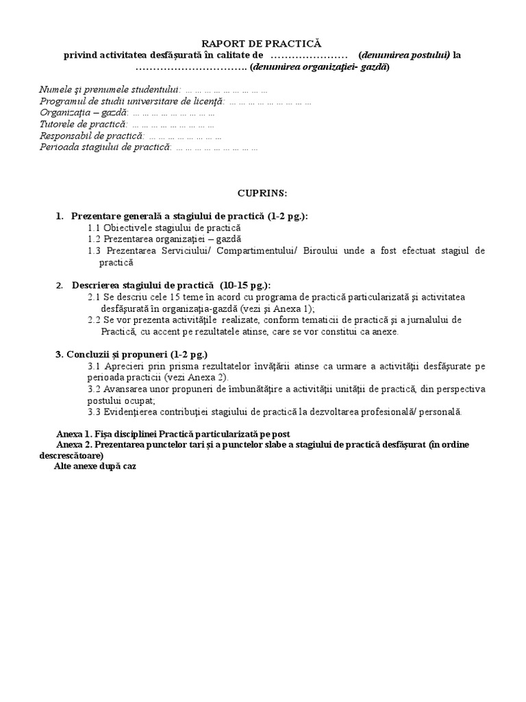 Raport de Practica Format Propus | PDF