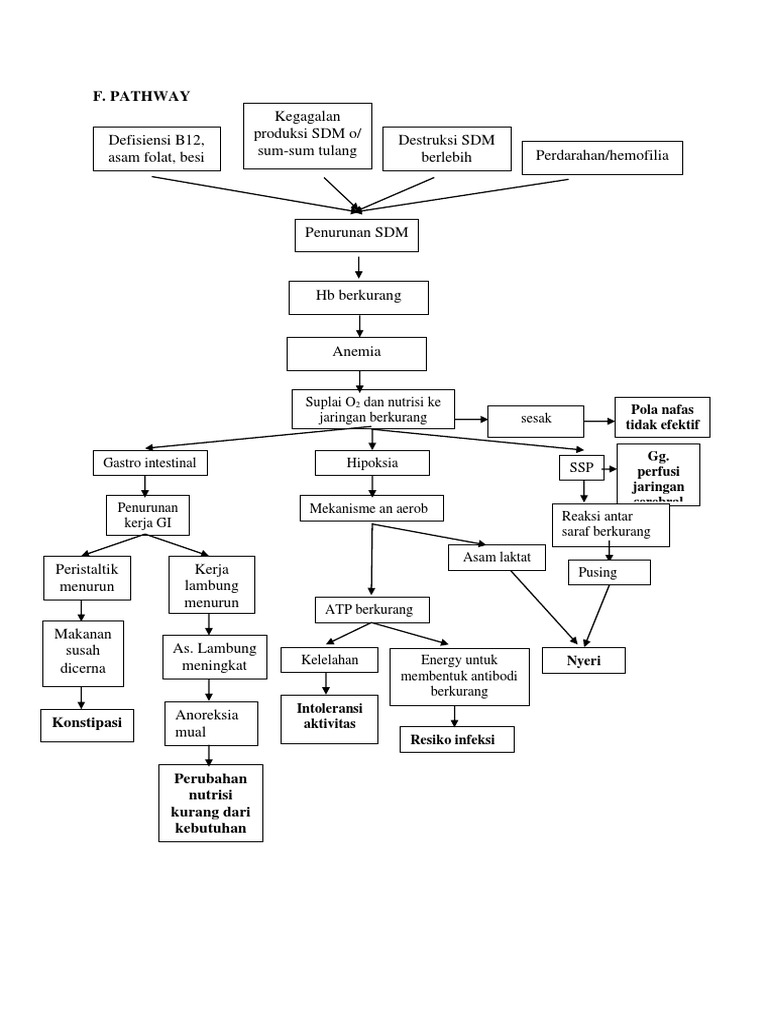 Pathway of Anemia Mechanisms | PDF