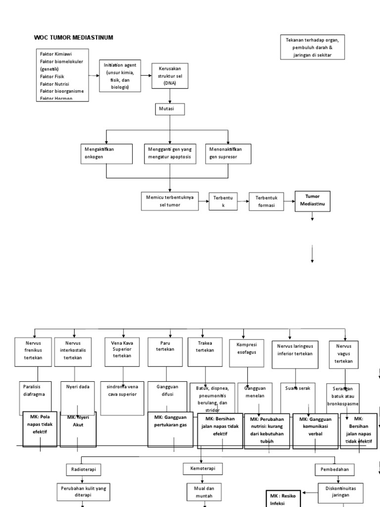 Woc Tumor Mediastinum | PDF