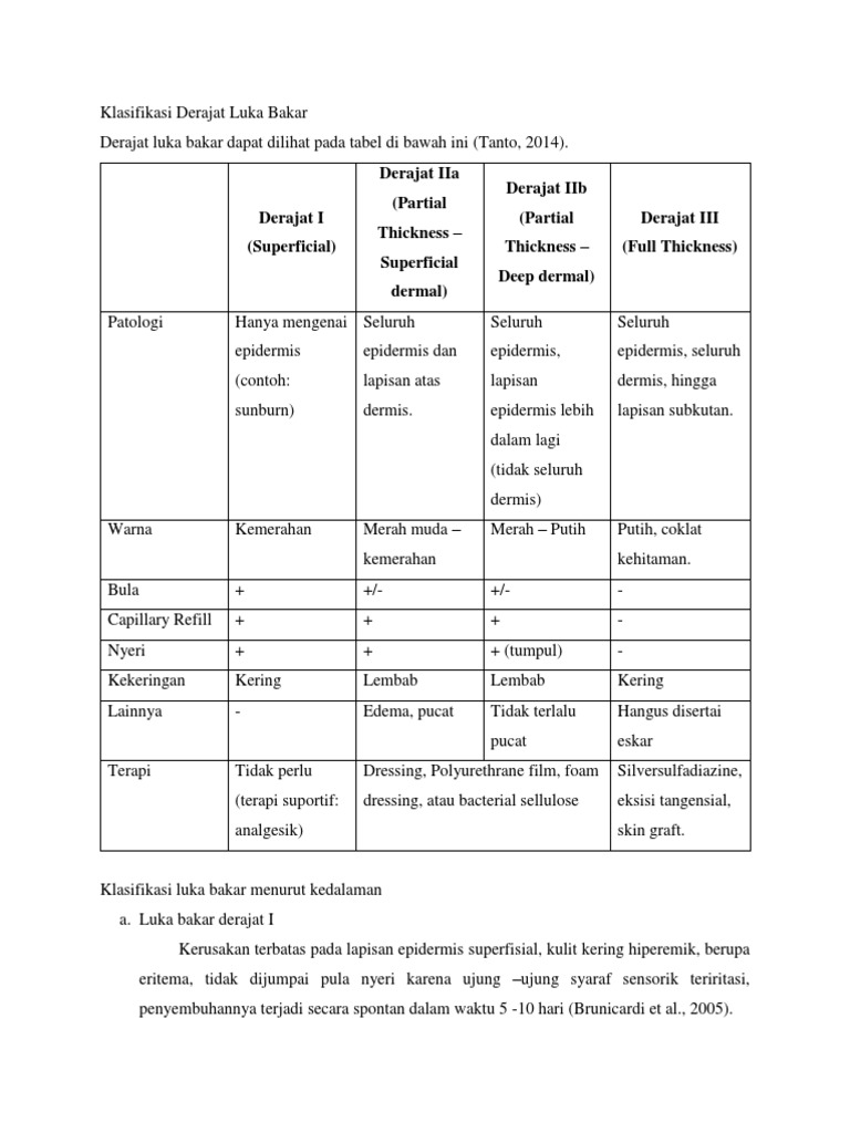 Klasifikasi Derajat Luka Bakar | PDF