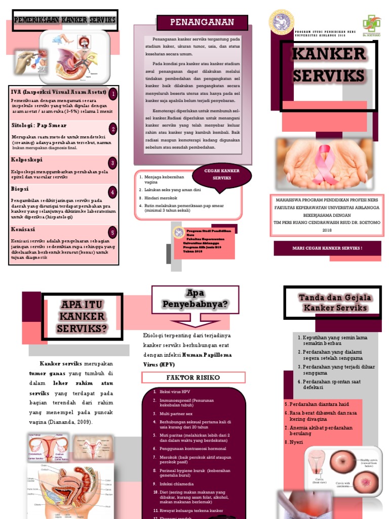 Leaflet CA Cervix Fix | PDF | Gynaecology | Mammal Female Reproductive System