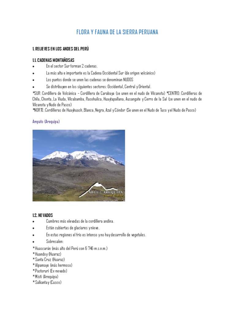 Flora y Fauna de la Sierra Peruana | PDF | Andes | Naturaleza