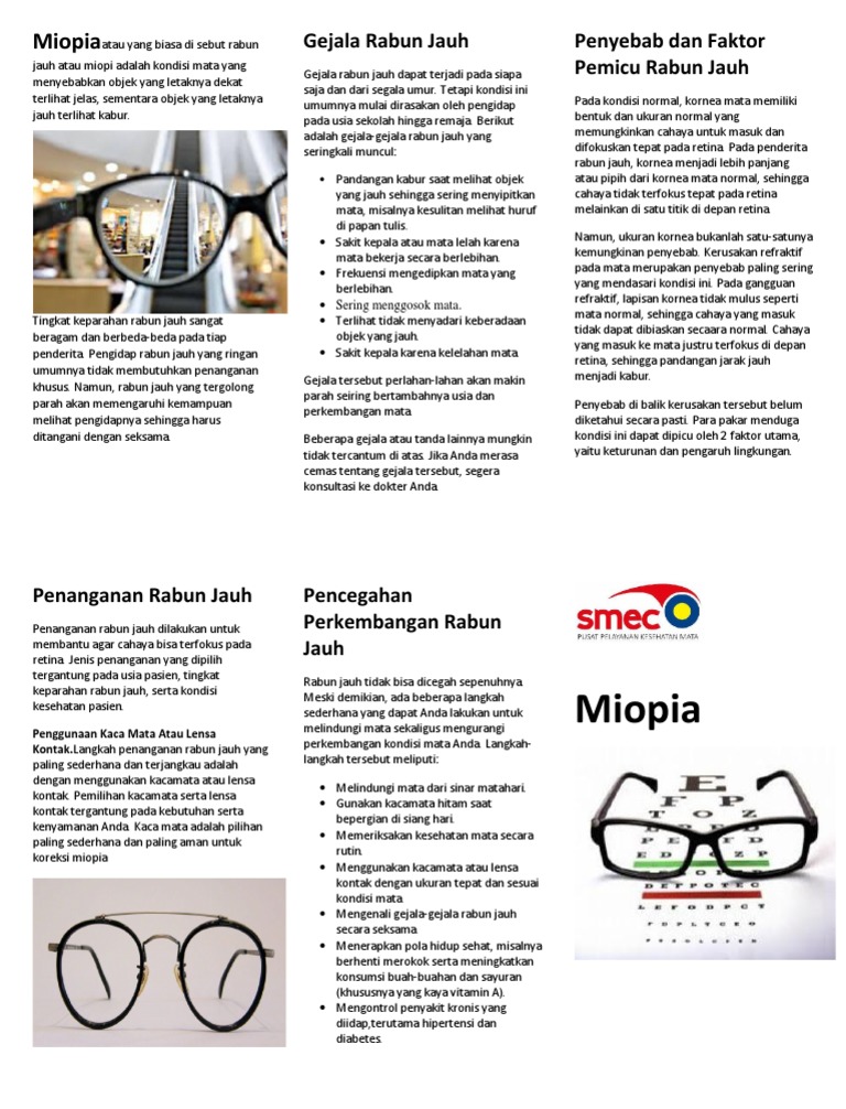 Leaflet Miopia - RS Mata SMEC | PDF