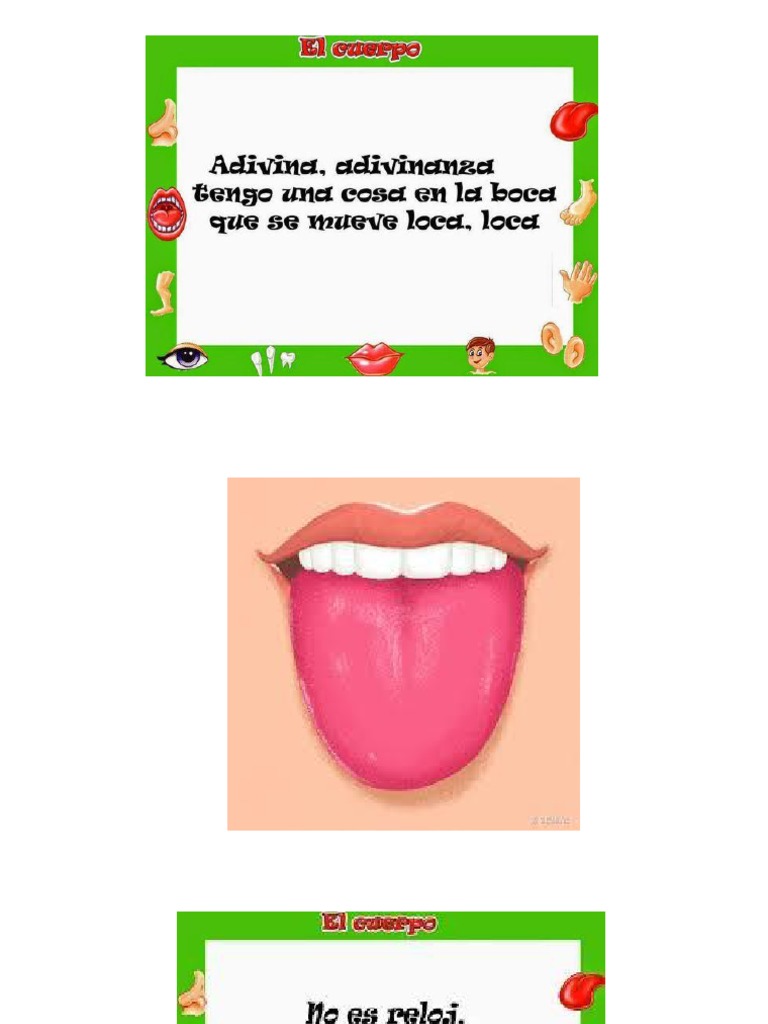 Adivinanzas Cuerpo Humano Pdf