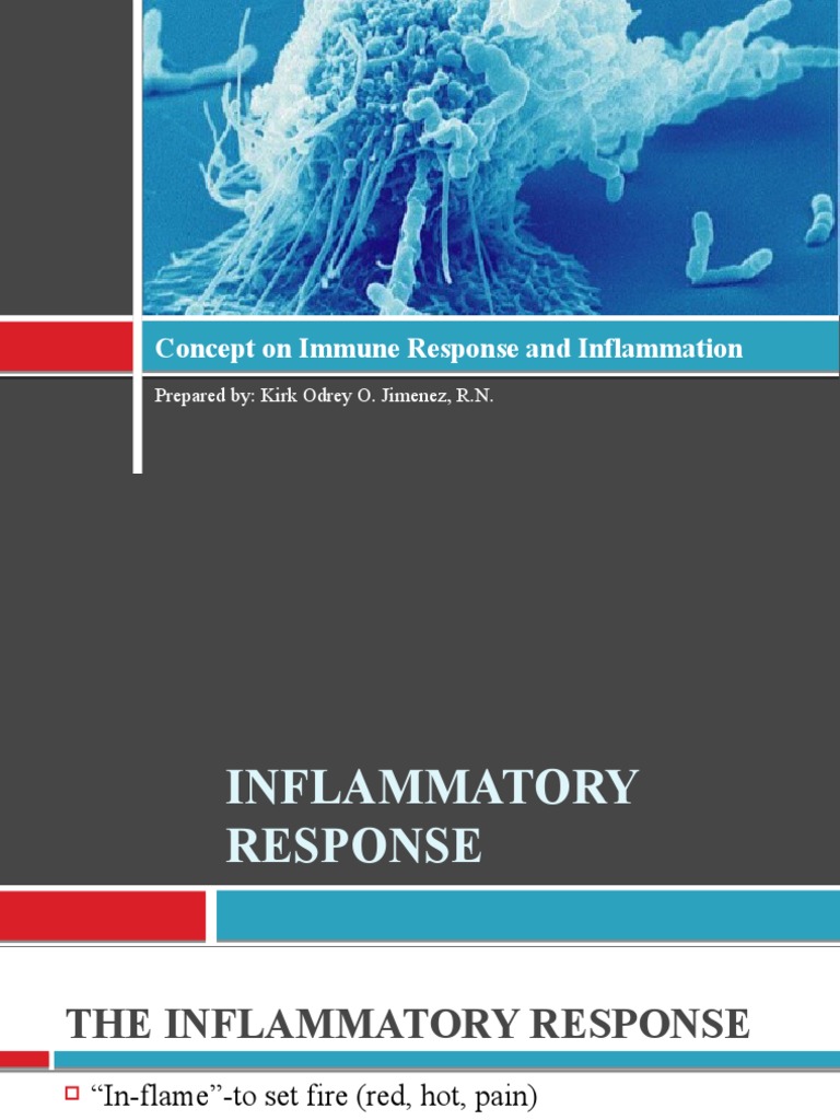 Immune Response and Inflammation Overview | PDF | Allergy | Immune System