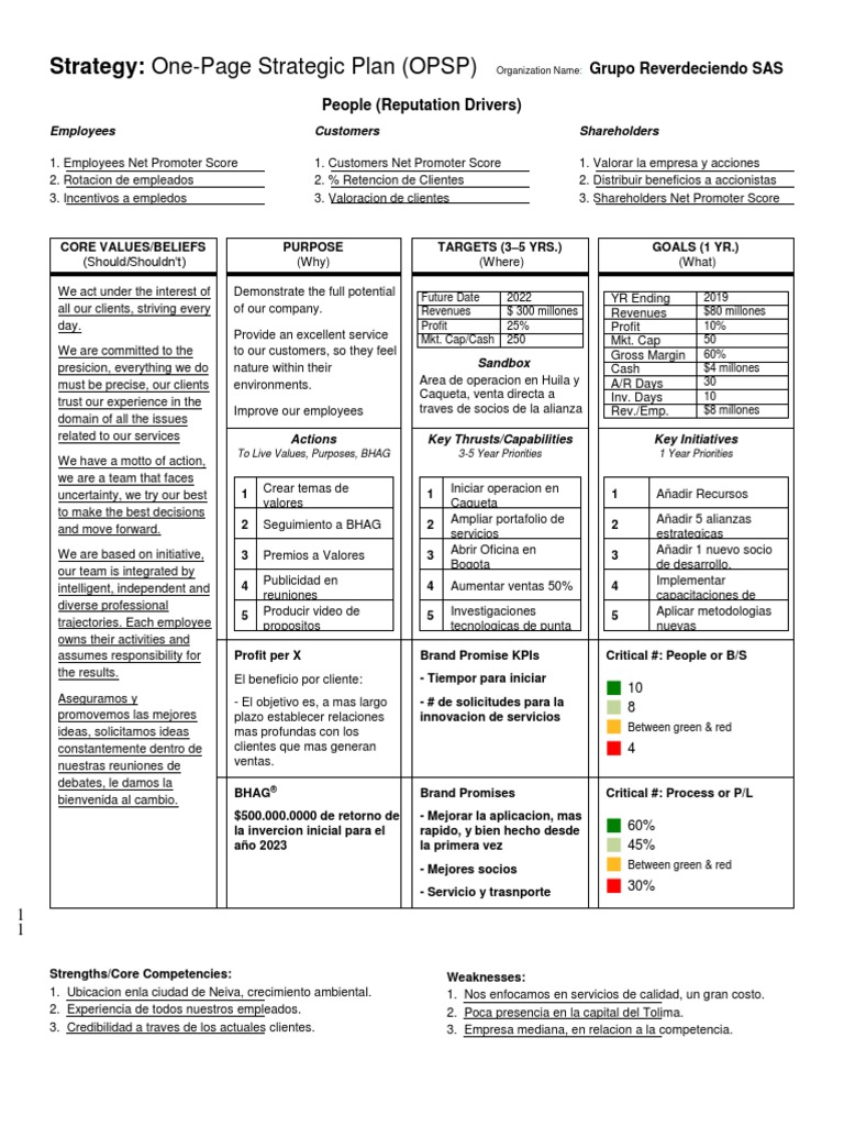 Strategy: One-Page Strategic Plan (OPSP) : Grupo Reverdeciendo SAS ...