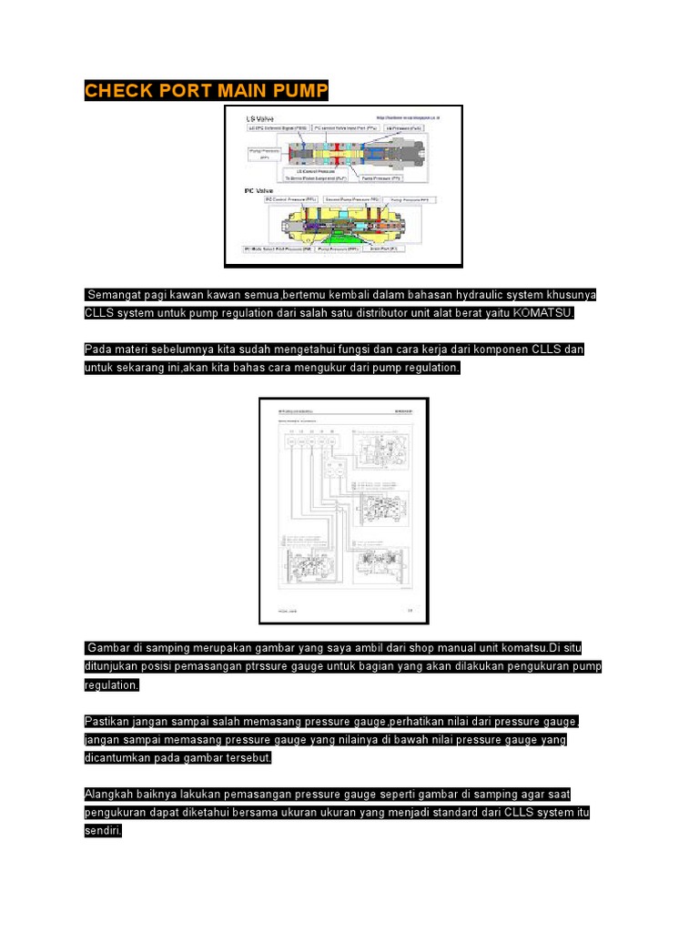 Check Port Main Pump | PDF