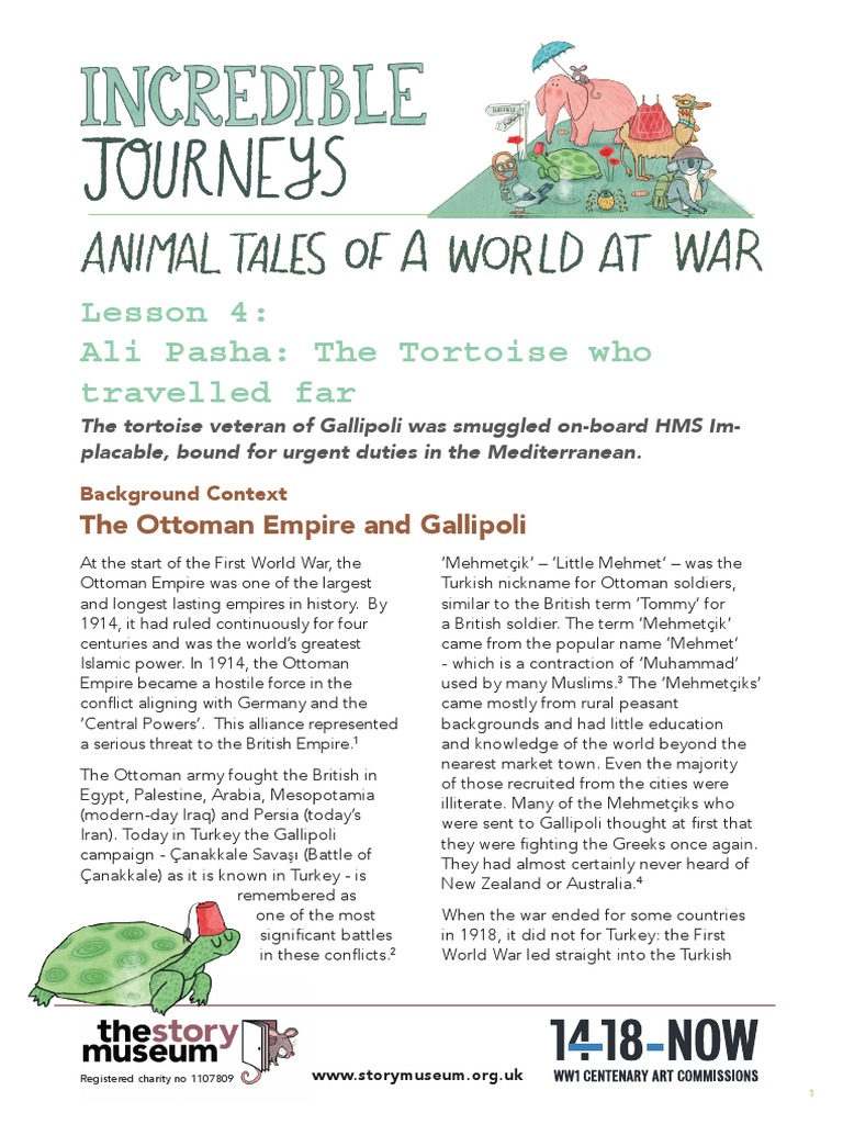 Lesson Plan 4 | PDF | Ottoman Empire | Turkey