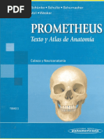Prometheus - Atlas de Anatomia PDF | PDF